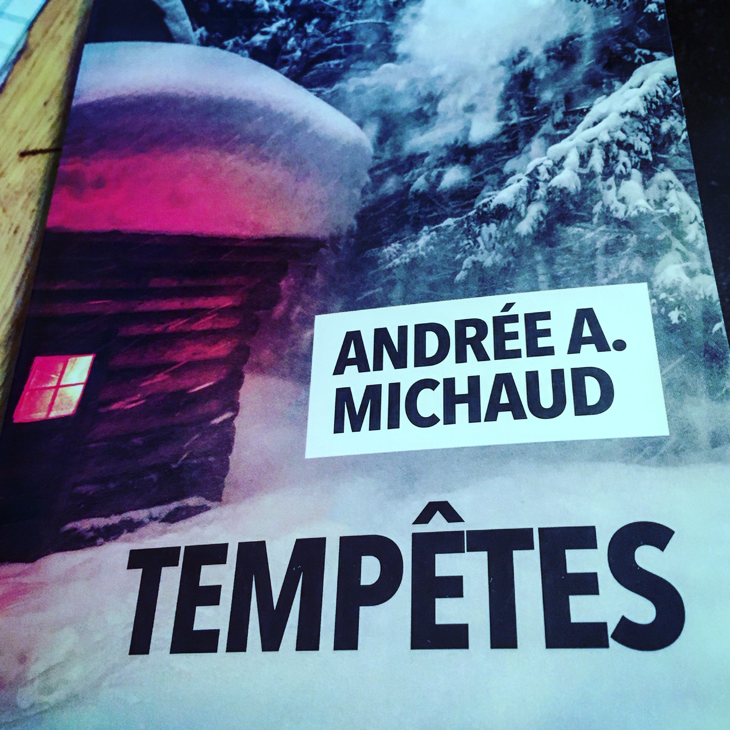 Tempêtes - Andrée A. Michaud - Un dernier livre avant la fin du monde