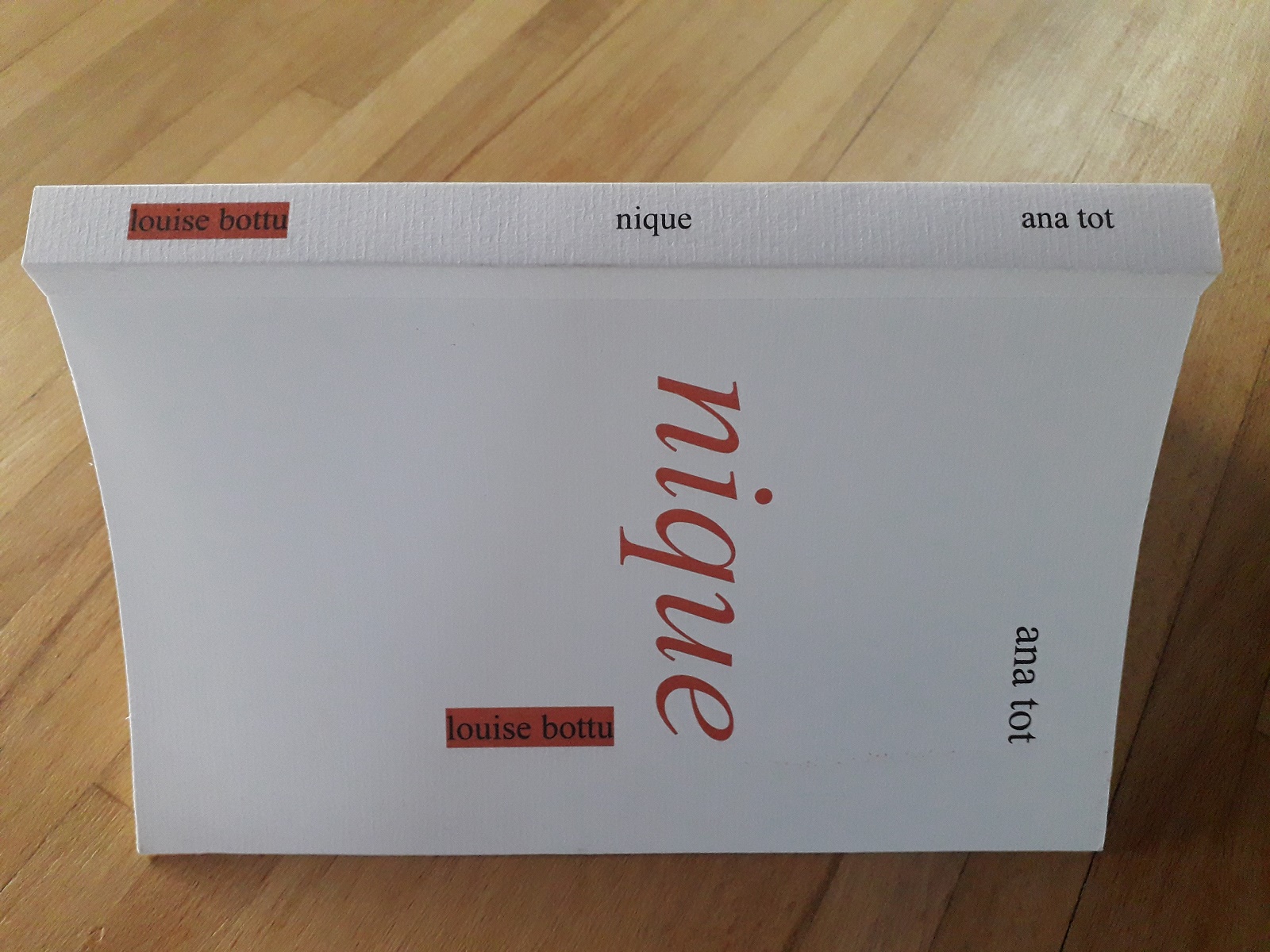 Ana Tot – Nique - Un dernier livre avant la fin du monde